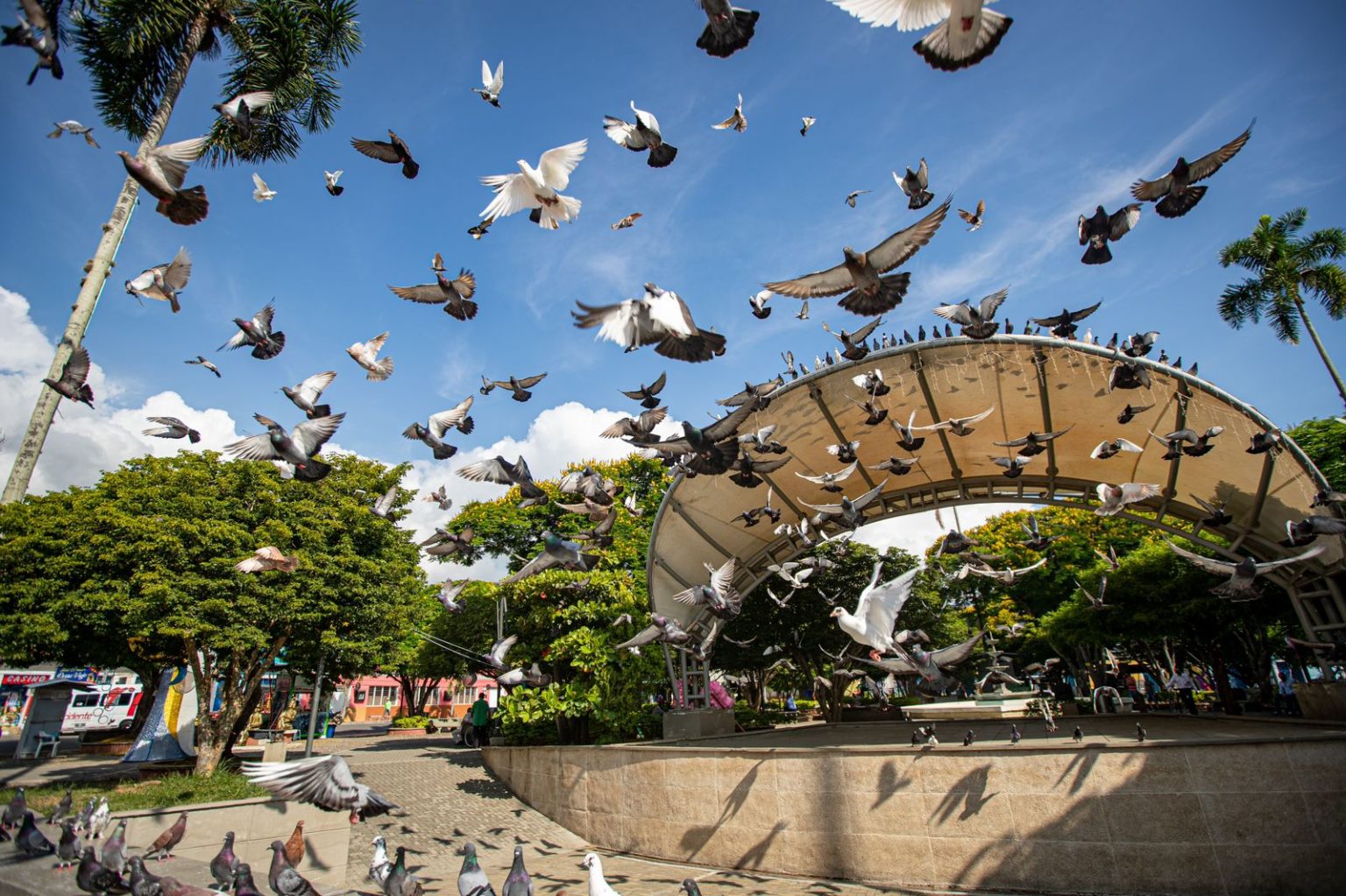 Roldanillo: Un Destino Vibrante en la Ruta Pueblos Mágicos del Valle ...